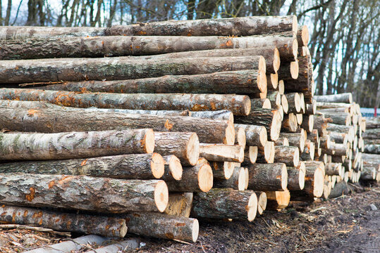 Balk Bilder – Durchsuchen 8,653 Archivfotos, Vektorgrafiken und Videos ...