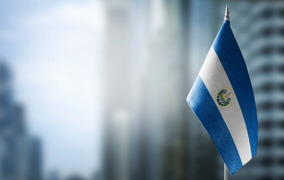 "El-Bilder: Stock-Fotos & -Videos. | Adobe Stock