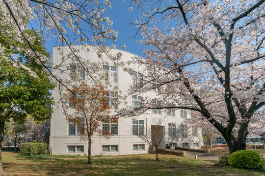 Fub Bilder – Durchsuchen 210 Archivfotos, Vektorgrafiken und Videos ...