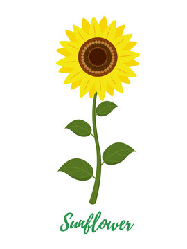 Single Flower Cartoon Images – Browse 17,001 Stock Photos, Vectors, and ...