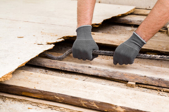 รูปภาพ"Pry – เลือกดูภาพถ่ายสต็อก เวกเตอร์ และวิดีโอ34,400 | Adobe Stock