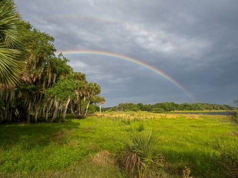 รูปภาพParkl – เลือกดูภาพถ่ายสต็อก เวกเตอร์ และวิดีโอ178 | Adobe Stock