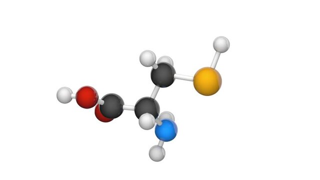 Selenocystein bilder – Bläddra bland 74 stockfoton, vektorer och videor ...