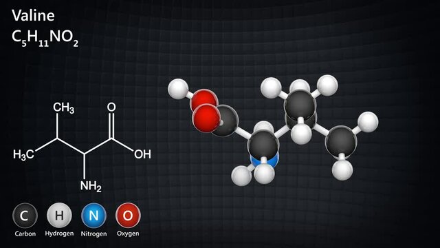 Valines Images – Browse 969 Stock Photos, Vectors, and Video | Adobe Stock