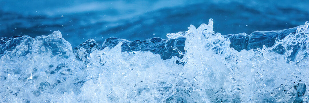 LAS 3,884,778 MEJORES IMÁGENES, FOTOS DE ARCHIVO Y VECTORES DE Mojado ...