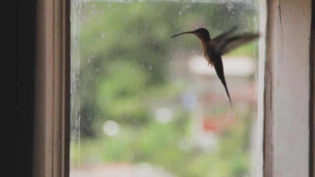 Indebted Images – Browse 2,198 Stock Photos, Vectors, and Video | Adobe ...