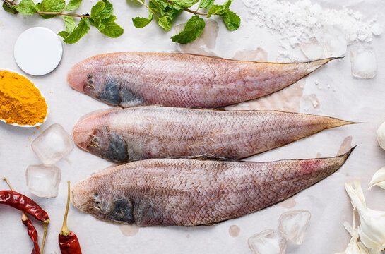 Sole Fish Images – Browse 14,226 Stock Photos, Vectors, and Video ...
