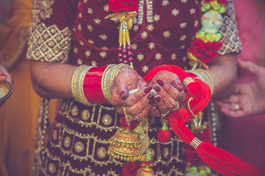 46 BEST Doli IMAGES, STOCK PHOTOS & VECTORS | Adobe Stock