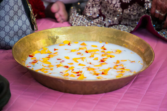 รูปภาพDoli – เลือกดูภาพถ่ายสต็อก เวกเตอร์ และวิดีโอ143 | Adobe Stock