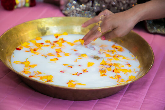 46 BEST Doli IMAGES, STOCK PHOTOS & VECTORS | Adobe Stock