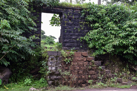 Detraction Images – Browse 49 Stock Photos, Vectors, and Video | Adobe ...