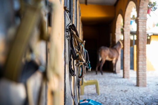 「Picadero」の写真素材 | 220件の無料イラスト画像 | Adobe Stock