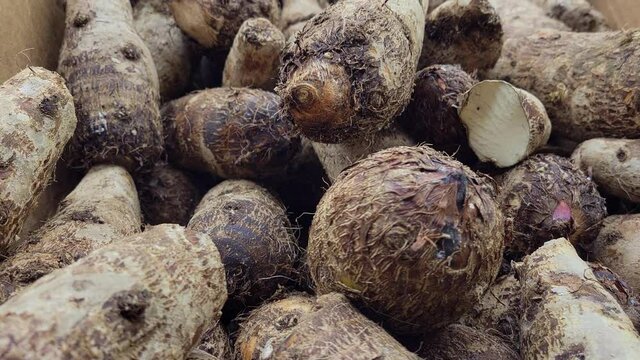 รูปภาพTayer – เลือกดูภาพถ่ายสต็อก เวกเตอร์ และวิดีโอ38 | Adobe Stock