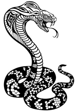 Spitting Cobra Coloring Pages