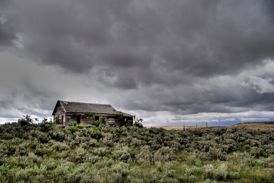 รูปภาพWy – เลือกดูภาพถ่ายสต็อก เวกเตอร์ และวิดีโอ11,159 | Adobe Stock