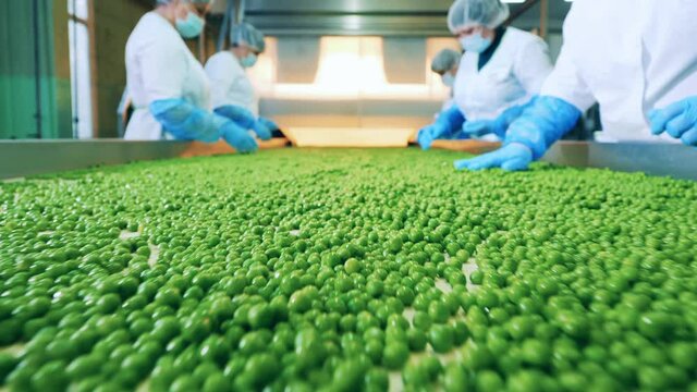 "Food Processing Plant" Images – Browse 106 Stock Photos, Vectors, and ...