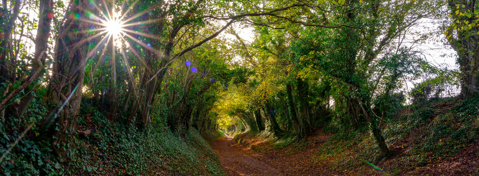 รูปภาพHalnaker – เลือกดูภาพถ่ายสต็อก เวกเตอร์ และวิดีโอ174 | Adobe Stock