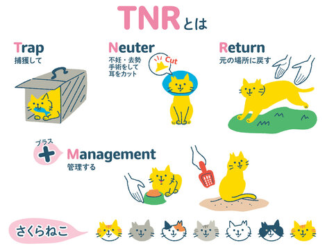 256 件の最適な Tnr 画像、ストック写真、ベクター | Adobe Stock