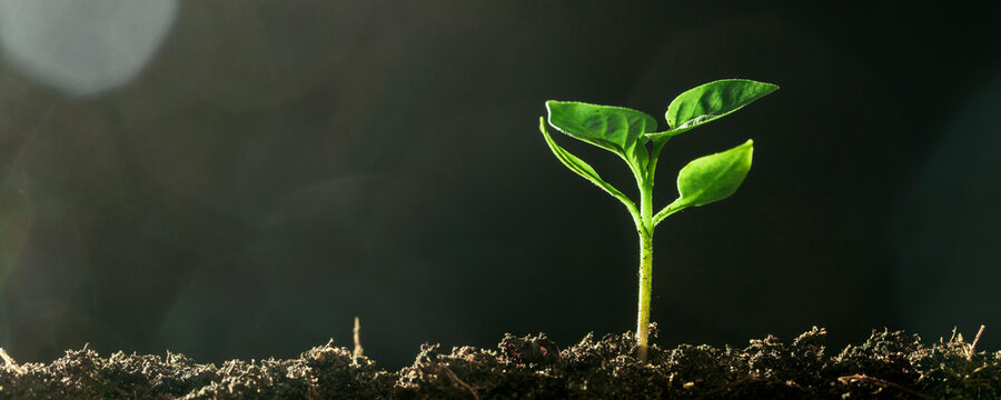 LAS 2,841,426 MEJORES IMÁGENES, FOTOS DE ARCHIVO Y VECTORES DE ...