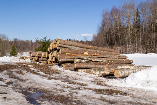 "Sawn Logs" Images – Browse 1,237 Stock Photos, Vectors, and Video ...