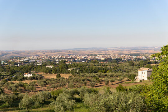 Venosa Images – Browse 932 Stock Photos, Vectors, and Video | Adobe Stock