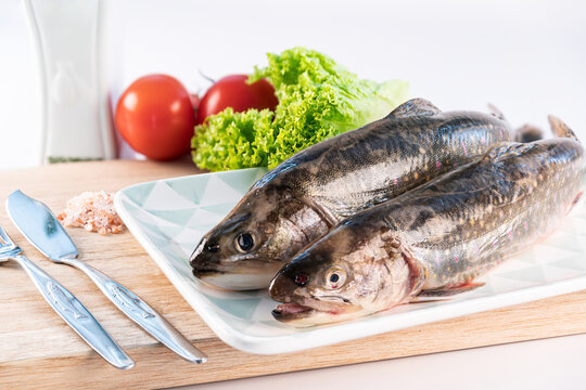 「Lachsfisch」の画像 - 142 件の Stock 写真、ベクターおよびビデオ | Adobe Stock