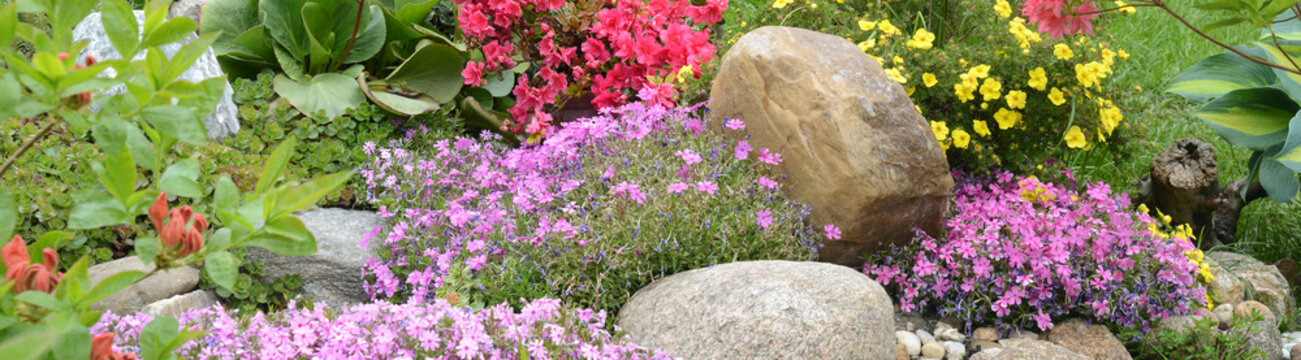 1,027,314 BÄSTA Frodig BILDER, STOCKFOTON OCH VEKTORBILDER | Adobe Stock