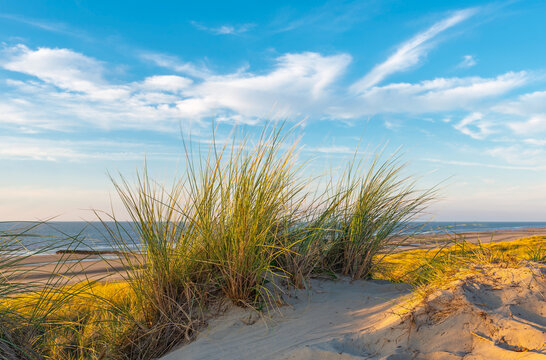 รูปภาพOostende – เลือกดูภาพถ่ายสต็อก เวกเตอร์ และวิดีโอ1,754 | Adobe Stock