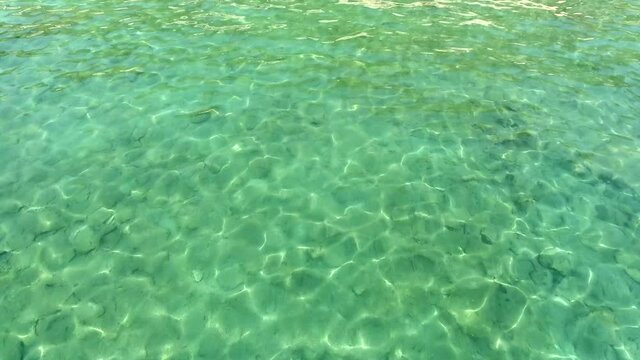 Hyaline Images – Browse 829 Stock Photos, Vectors, and Video | Adobe Stock