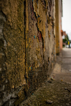 Flix photos, images, assets | Adobe Stock