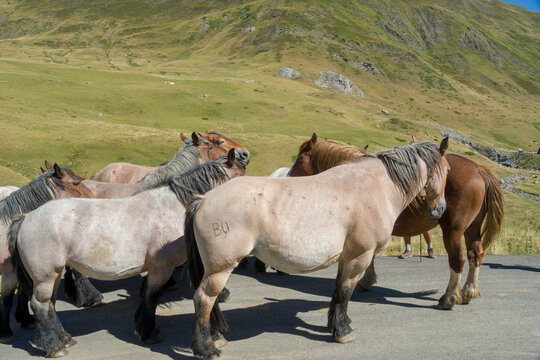 รูปภาพPortalet – เลือกดูภาพถ่ายสต็อก เวกเตอร์ และวิดีโอ571 | Adobe Stock