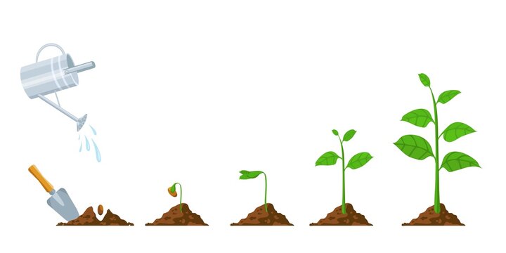 Plant Grow Cartoon Images – Browse 131,622 Stock Photos, Vectors, and ...