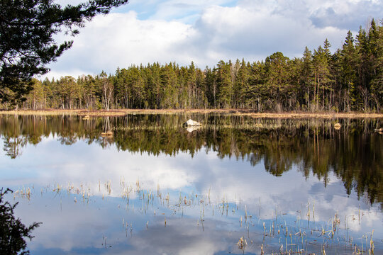 Sandviken Bilder – Durchsuchen 478 Archivfotos, Vektorgrafiken und ...