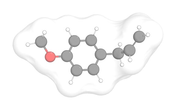 Estragol Imagens – Procure 19 fotos, vetores e vídeos | Adobe Stock