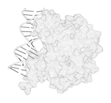 Represser Images – Browse 50 Stock Photos, Vectors, and Video | Adobe Stock