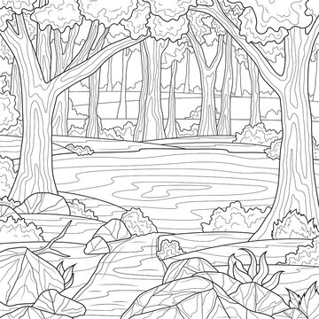 Woods Coloring Pages