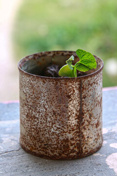 Blechtopf Bilder – Durchsuchen 777 Archivfotos, Vektorgrafiken und ...