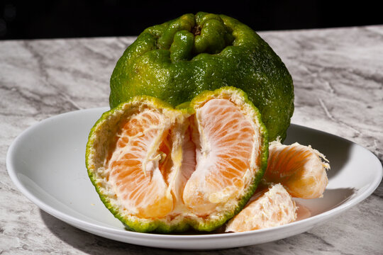 Pokan Images – Browse 40 Stock Photos, Vectors, and Video | Adobe Stock