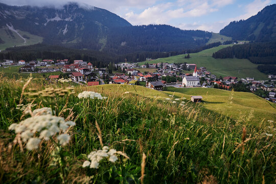 Berwang bilder – Bläddra bland 327 stockfoton, vektorer och videor ...