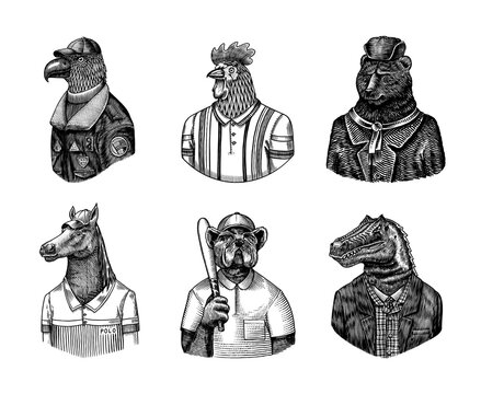 Tyrex Images – Parcourir 140 le catalogue de photos, vecteurs et vidéos ...