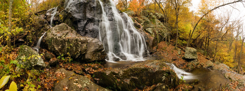 Nps Images – Browse 23,187 Stock Photos, Vectors, and Video | Adobe Stock