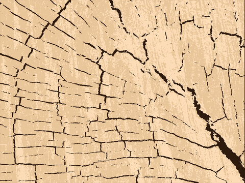 "Crack Background" Images – Browse 85 Stock Photos, Vectors, and Video ...