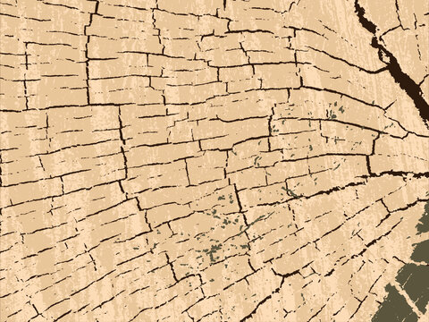 "Crack Background" Images – Browse 85 Stock Photos, Vectors, and Video ...