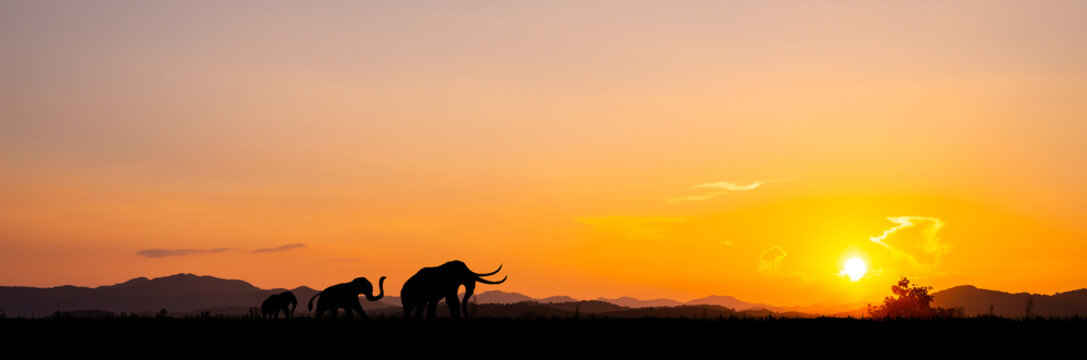 Sunrise In African Bush Images – Browse 9,103 Stock Photos, Vectors ...