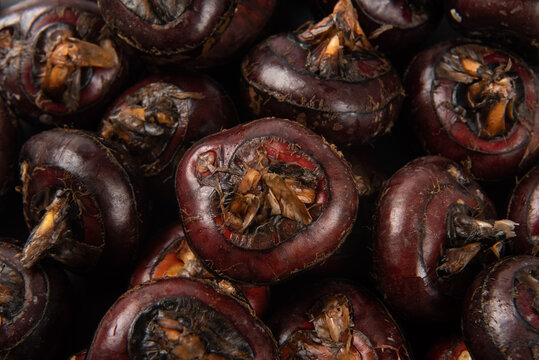 Water-Chestnut Images – Browse 2,413 Stock Photos, Vectors, and Video ...