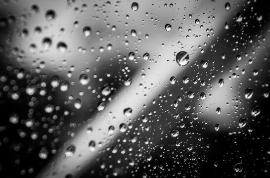 รูปภาพChiaro – เลือกดูภาพถ่ายสต็อก เวกเตอร์ และวิดีโอ13,069 | Adobe Stock