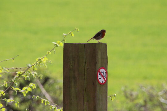 "On Guard" Images – Browse 1,061 Stock Photos, Vectors, and Video ...