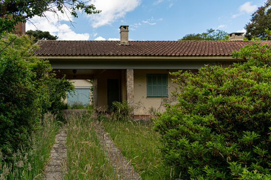 Flix photos, images, assets | Adobe Stock