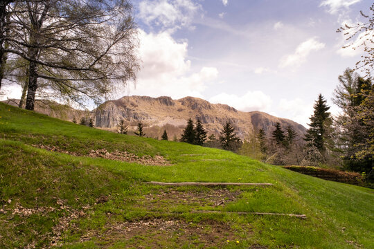 รูปภาพPanias – เลือกดูภาพถ่ายสต็อก เวกเตอร์ และวิดีโอ1,215 | Adobe Stock