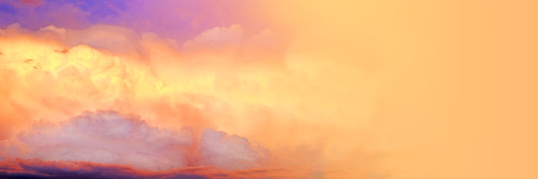 Twitter Summer Backgrounds